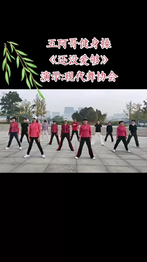五阿哥第三套健身广场舞截图
