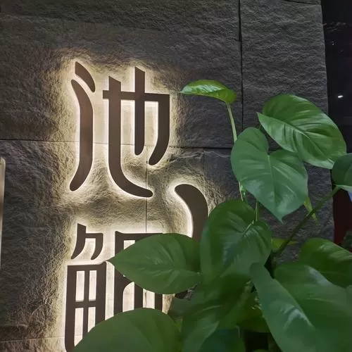 庭院露天鱼池养什么鱼图标