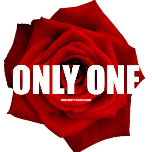onlyone中文版图标