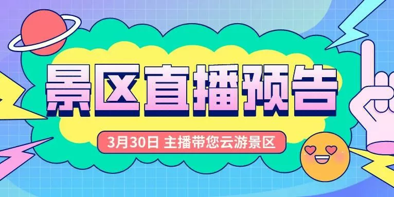 游客在线观看直播截图