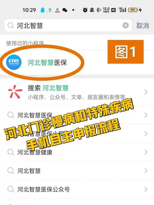 河北省如何网上申报慢病图标