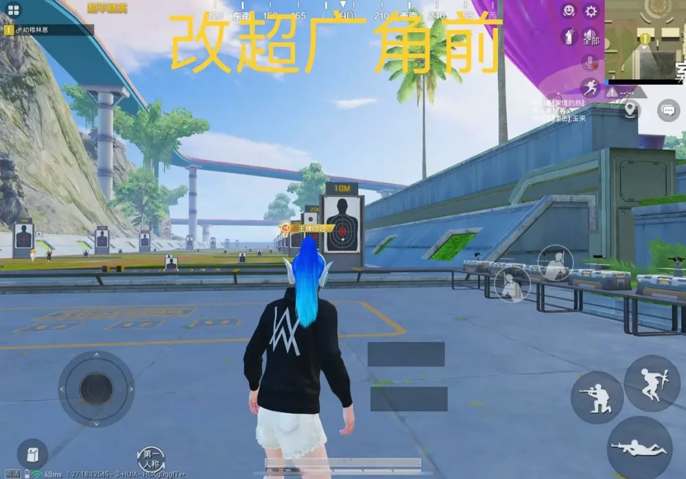 和平精英视野设置