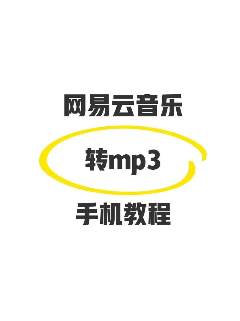 手机上怎么把网易云音乐导入mp3截图