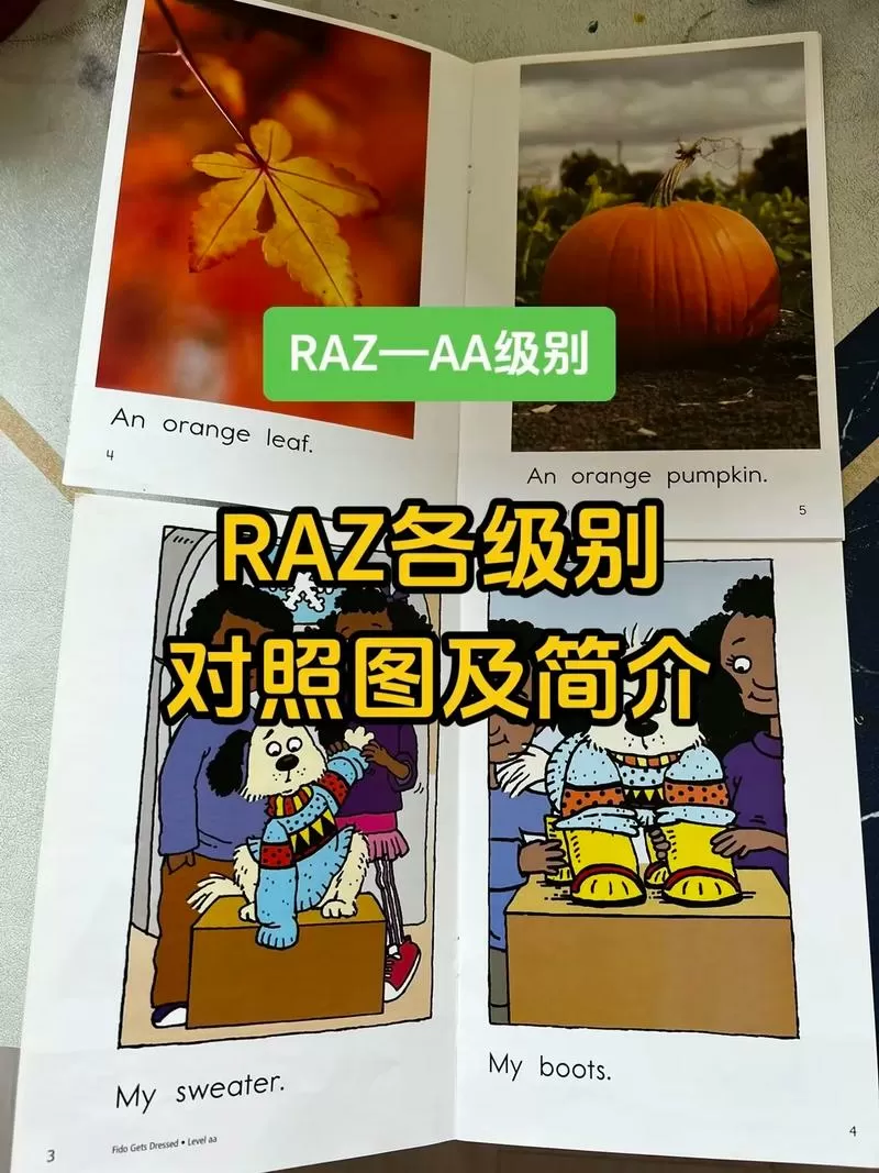 彩虹分级和raz的区别截图