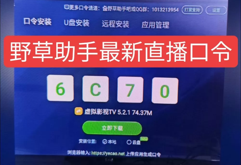 野草助手看电视直播的口令图标