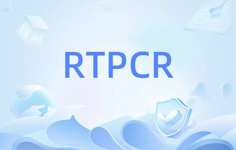 pcr采蘑菇作业网图标