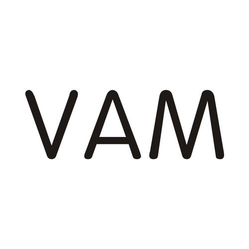 vam中文版