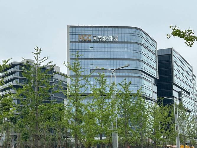 clash订阅节点购买无广告纯净版截图