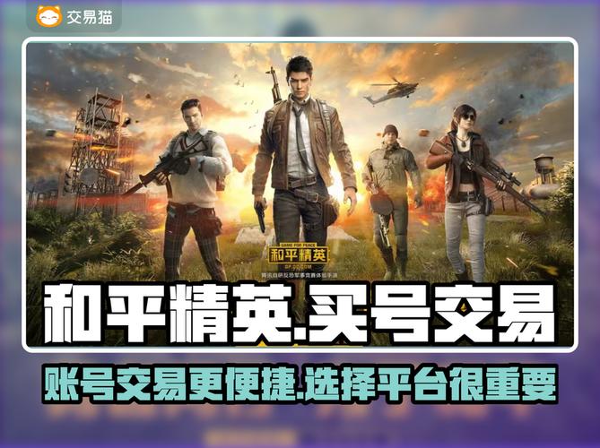和平精英黑号科技购买网站截图