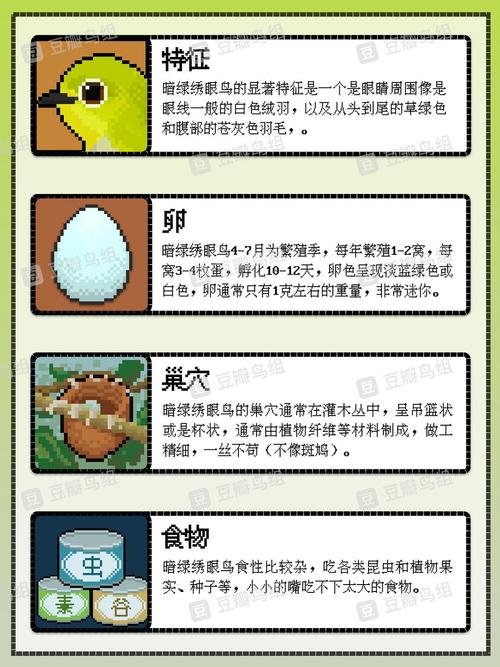 绣眼鸟快讯