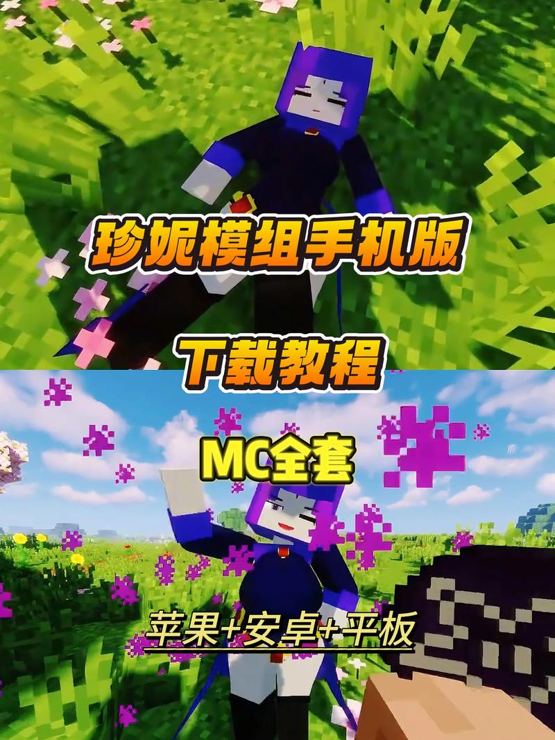 珍妮模组手机版一键安装安卓版截图