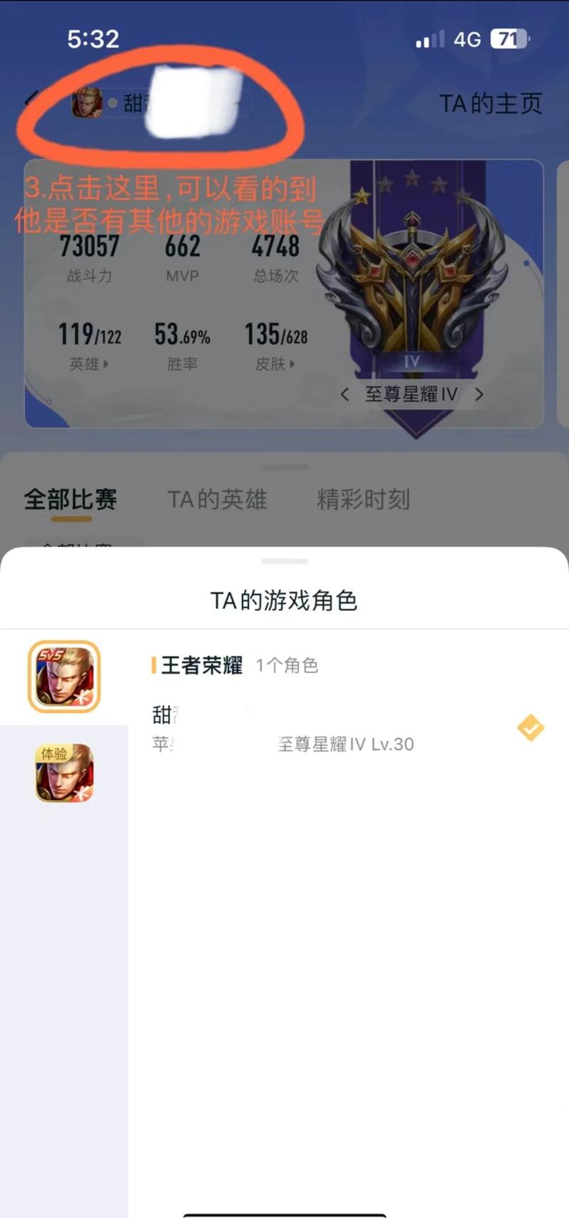 查看王者隐藏战绩软件
