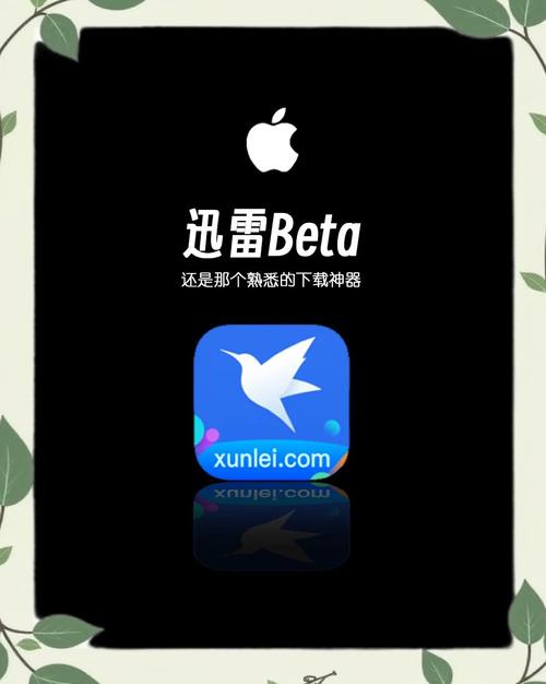ios迅雷beta内测版截图