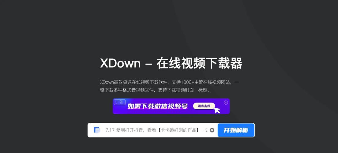 x直装防闪退