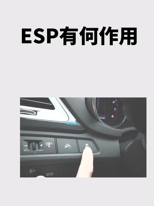白菜ESP辅助器白色版图标