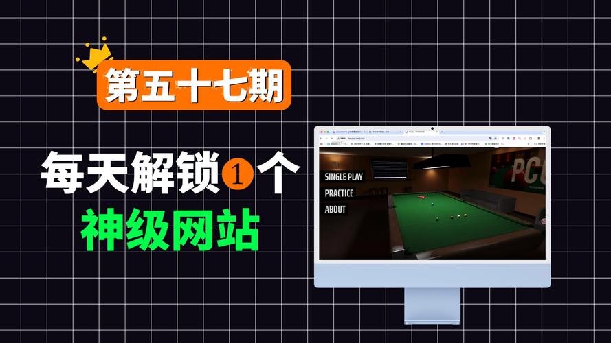 桌球外挂黑色版免墙版