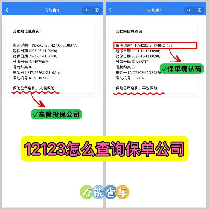 交管12123怎么查车辆违章查询记录赚钱版截图