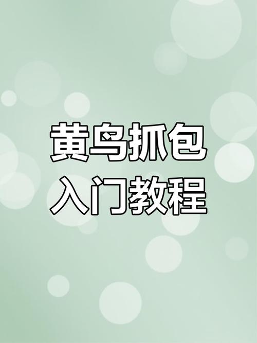 黄鸟抓包怎么使用