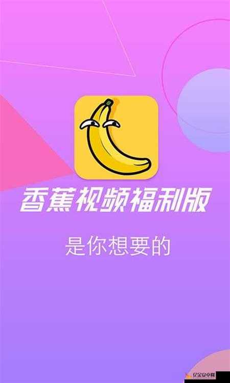 黄色视频免费观看网站软件下载