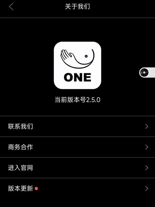 成年版one一个就够了网址图标