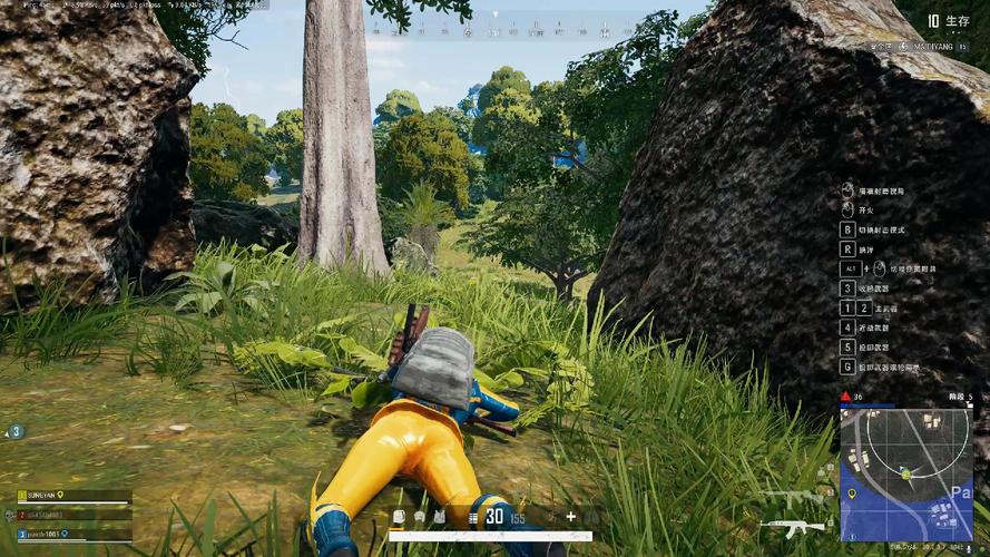 pubg官方正版下载入口绿色