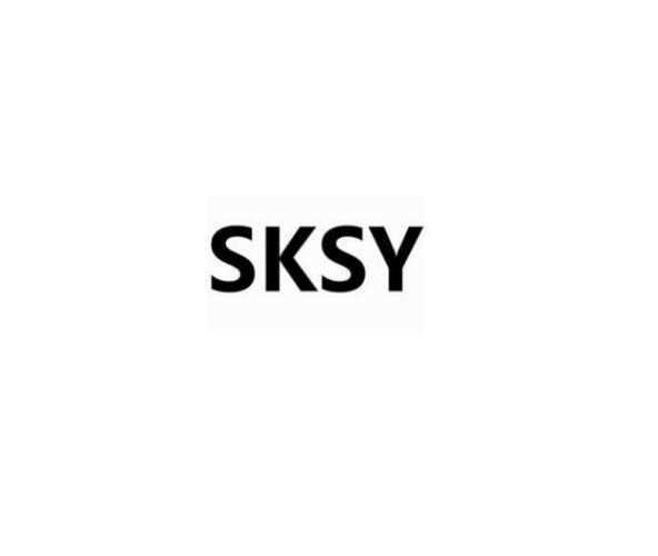 sks连点器截图