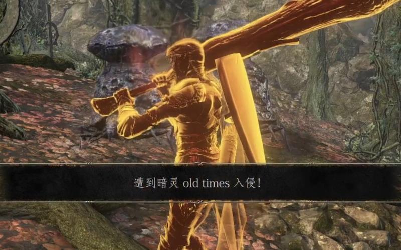黑魂三暗灵入侵规则中文字幕截图