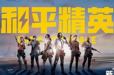 和平精英pak改文件免费无限金币版截图
