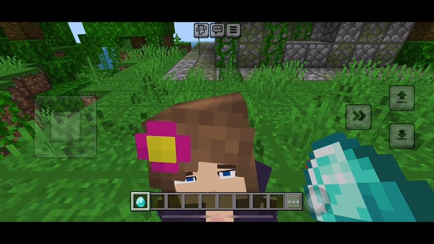 minecraft珍妮x苦力怕slipperyt无广告正版
