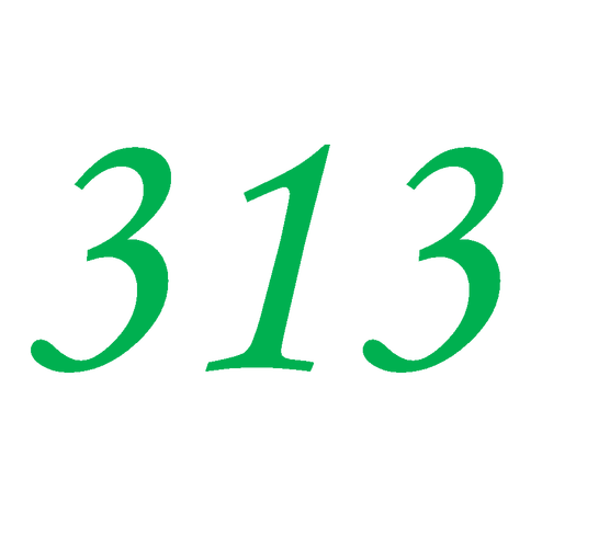 31317交易平台官方网站图标