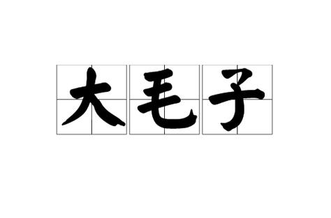 大毛子公益直装截图