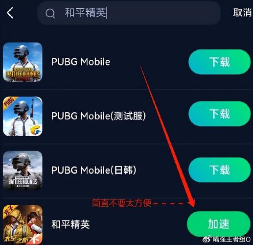 和平精英鸡腿插件免费下载黑色版免墙版