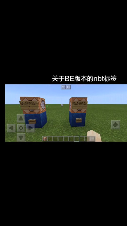 我的世界NBT制裁盒子修改版无限次数