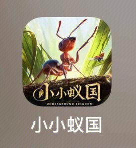 小小蚁国37官网