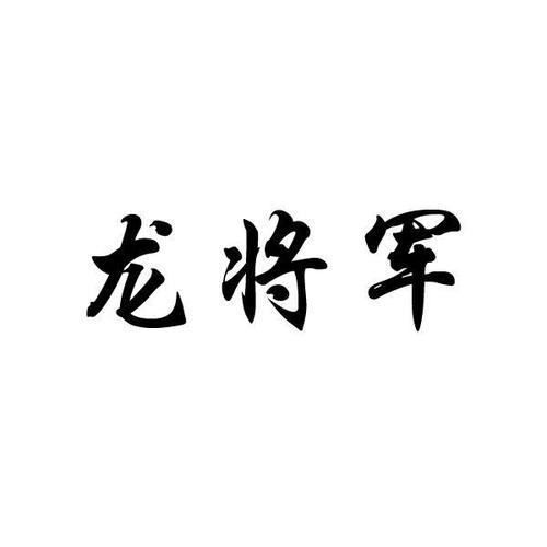 龙将军直装版本