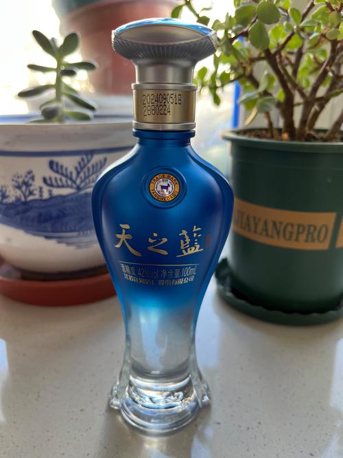 天之蓝pro直装vip截图