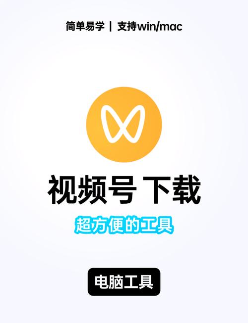 视频批量采集软件手机版截图