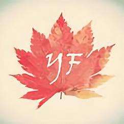 叶枫模组整合包下载截图