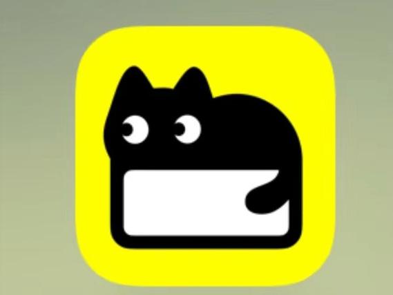 猫箱专业版图标