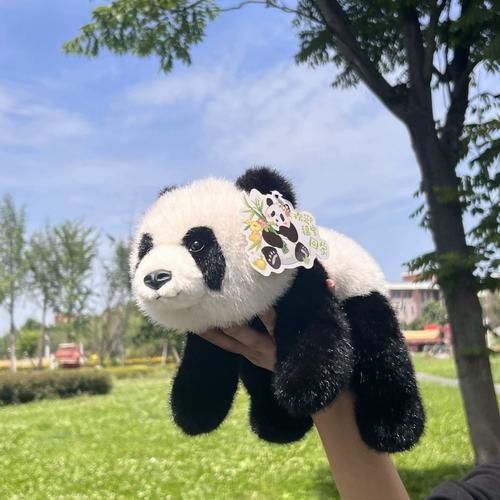 panda activate熊猫映射激活永久会员版截图