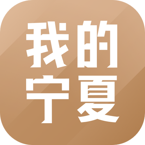 我的宁夏app安装