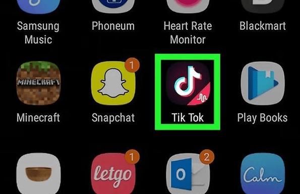 tiktok色板软件免费版截图