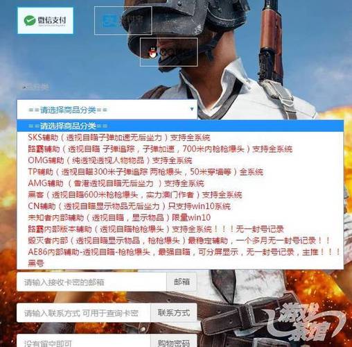 pubg直装免费直装外挂无付费版图标