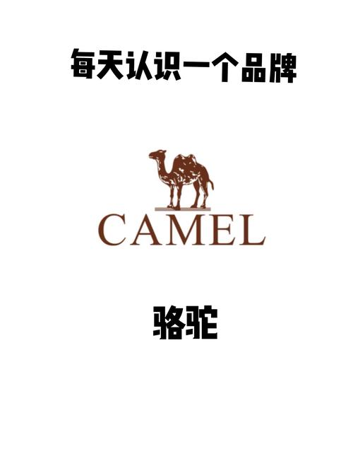 骆驼网(转发文章赚钱)截图