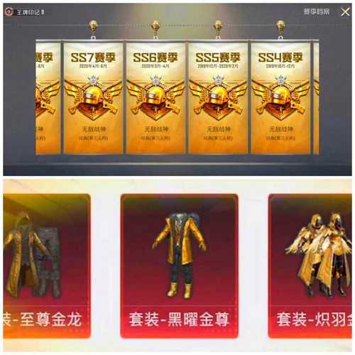 至尊金龙风衣美化包图标