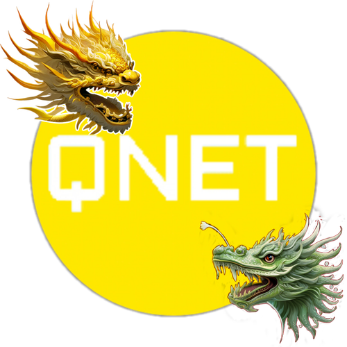 qnet金龙弱网图标