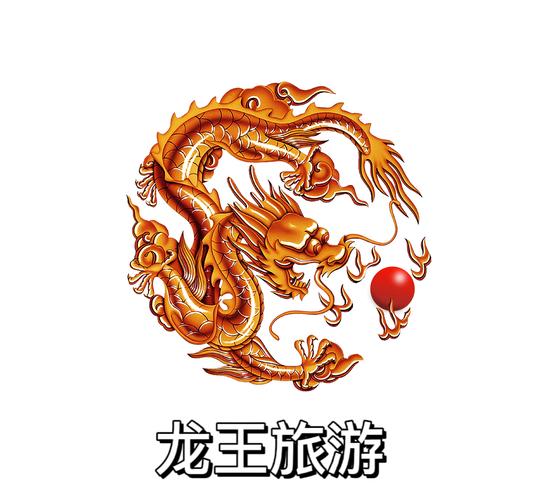 龙王直装免费永不升级版图标