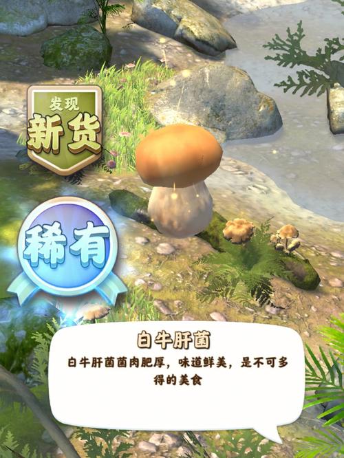 夺笋高手破解版无限钻石无限金币免广告电视版截图
