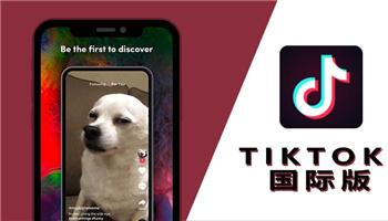 破解版大小姐tik截图