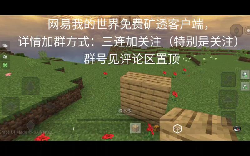 我的世界免费矿透挂图标